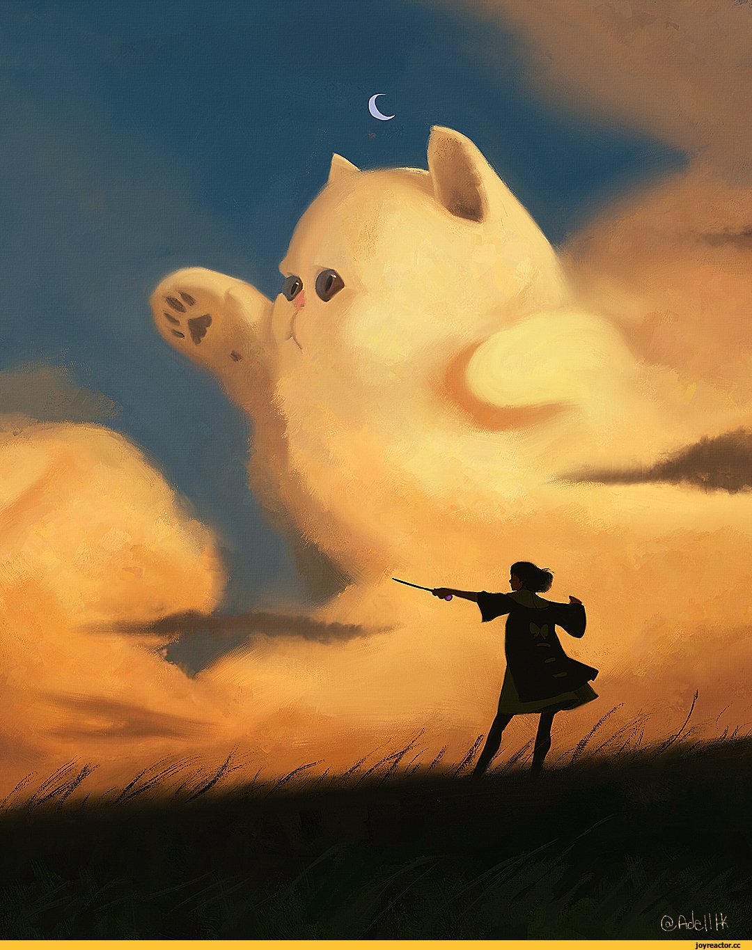 51 51